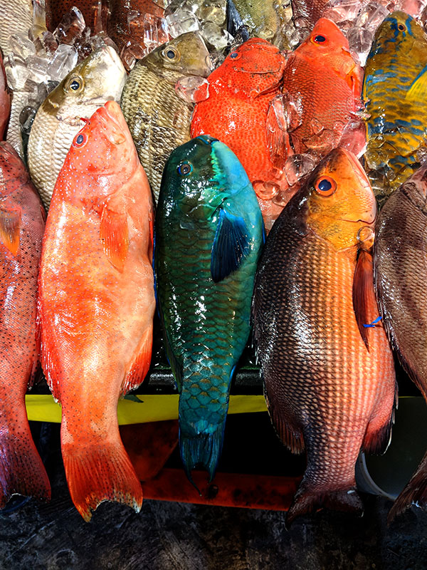 BOATS, SEA, SAND AND WET THINGS. – Old Bird Travels Solo!