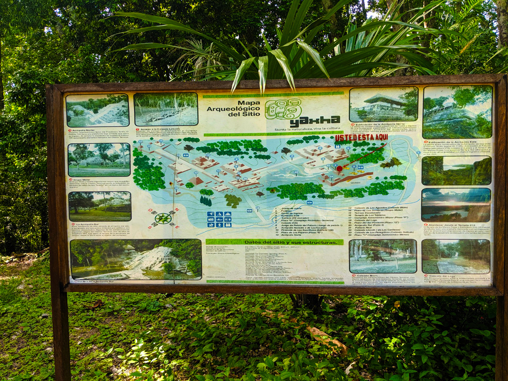 TIKAL AND YAXHA. – Old Bird Travels Solo!